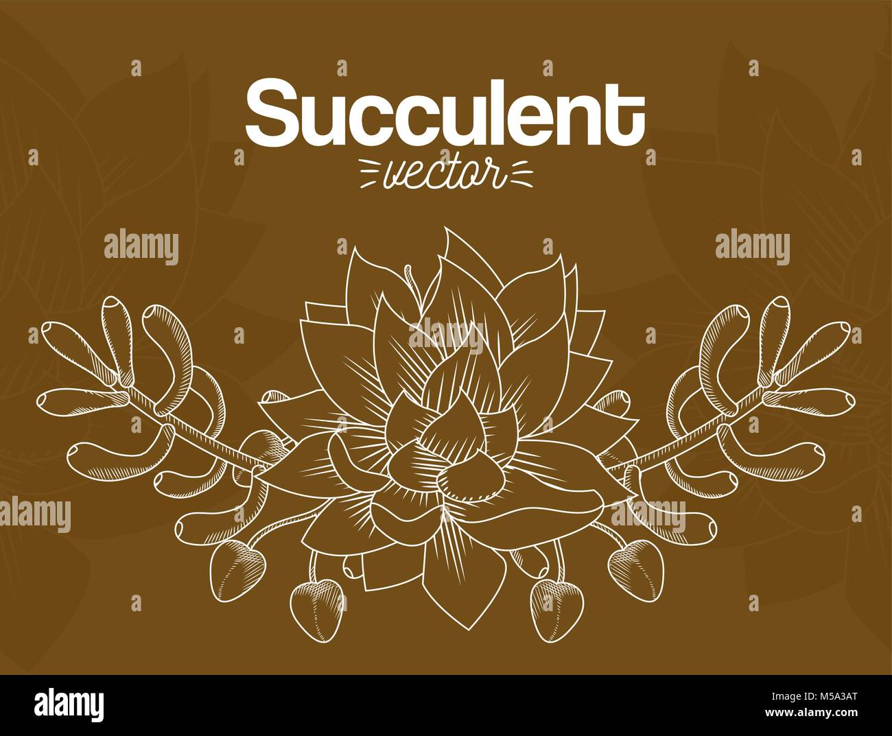 Succulent desert plants Stock Vector Image & Art - Alamy