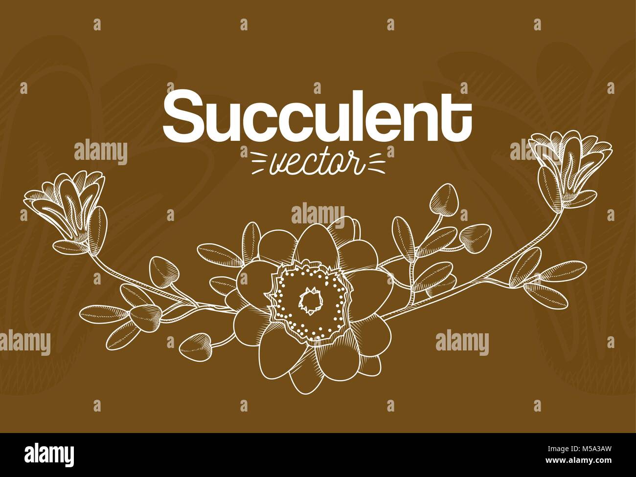 Succulent desert plants Stock Vector Image & Art - Alamy