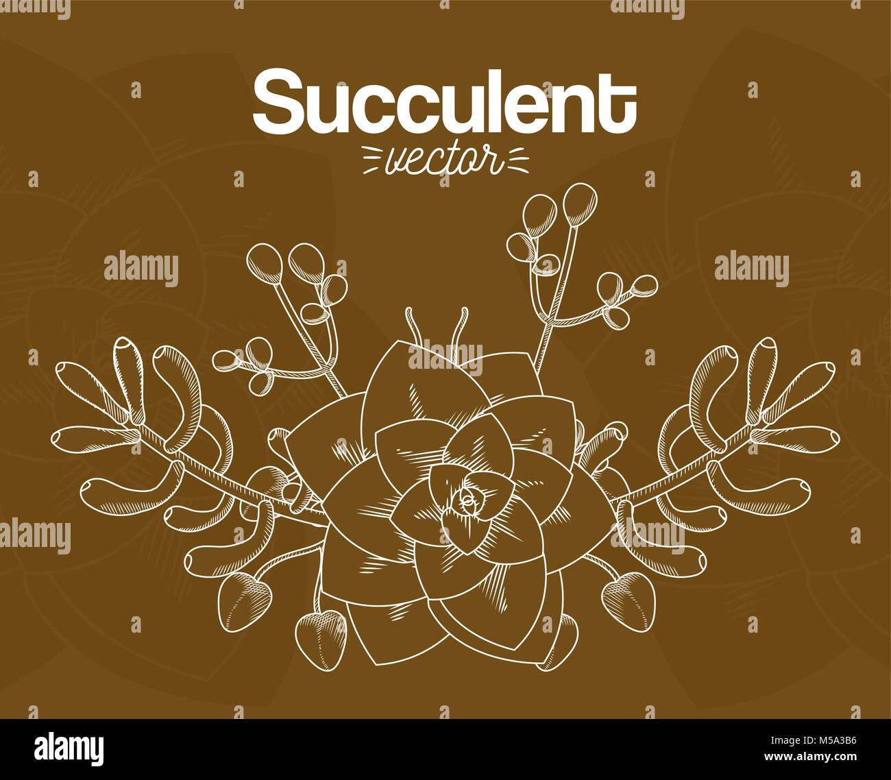 Succulent desert plants Stock Vector Image & Art - Alamy