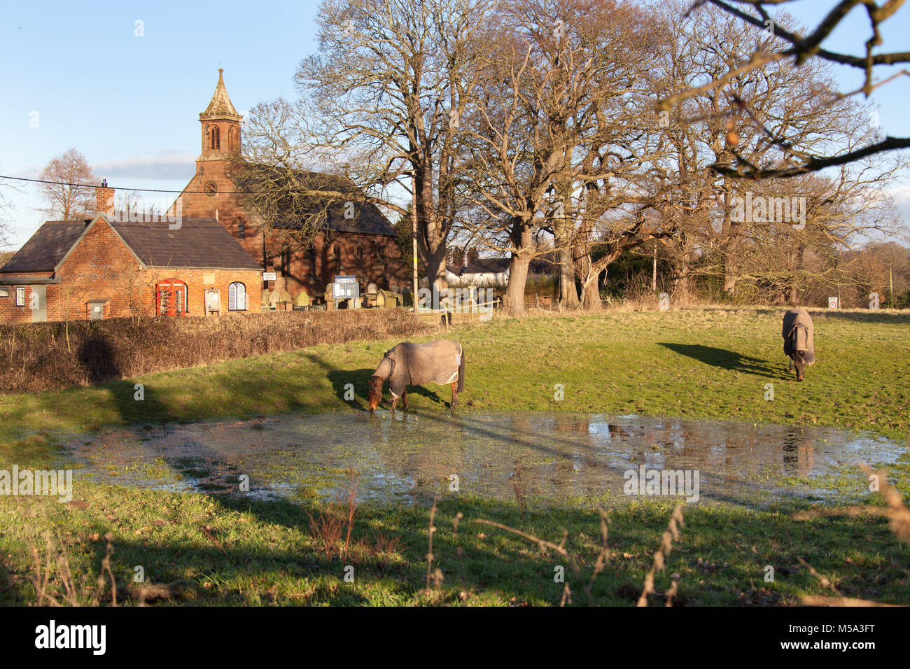 Village of Coddington, England. Picturesque view of horses grazing in ...