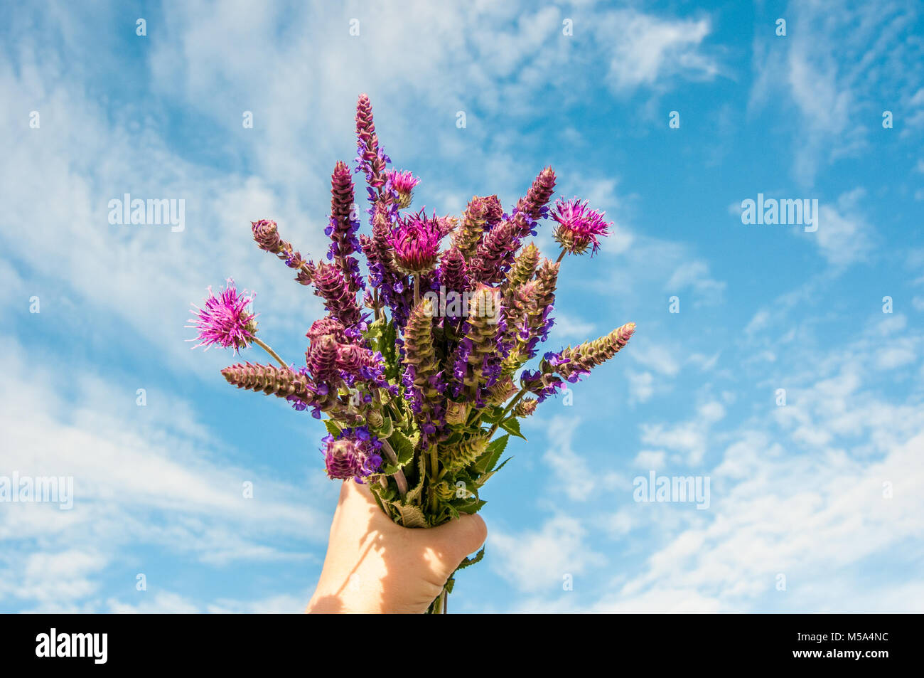 Closeup of woman's hand holding beautiful bouquet of summer garden ...