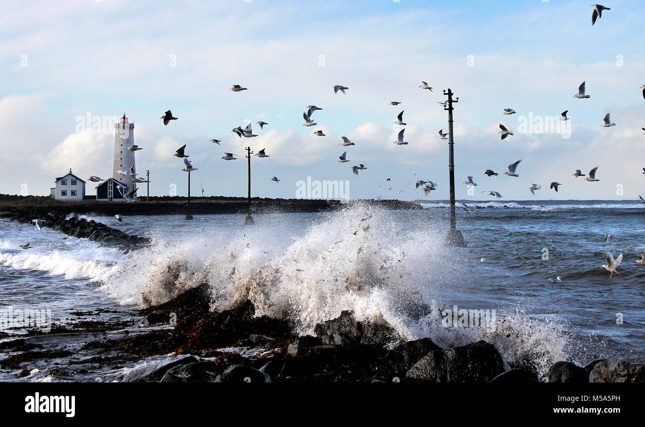 Surf at Grotta beach Reykjavik Iceland Stock Photo - Alamy