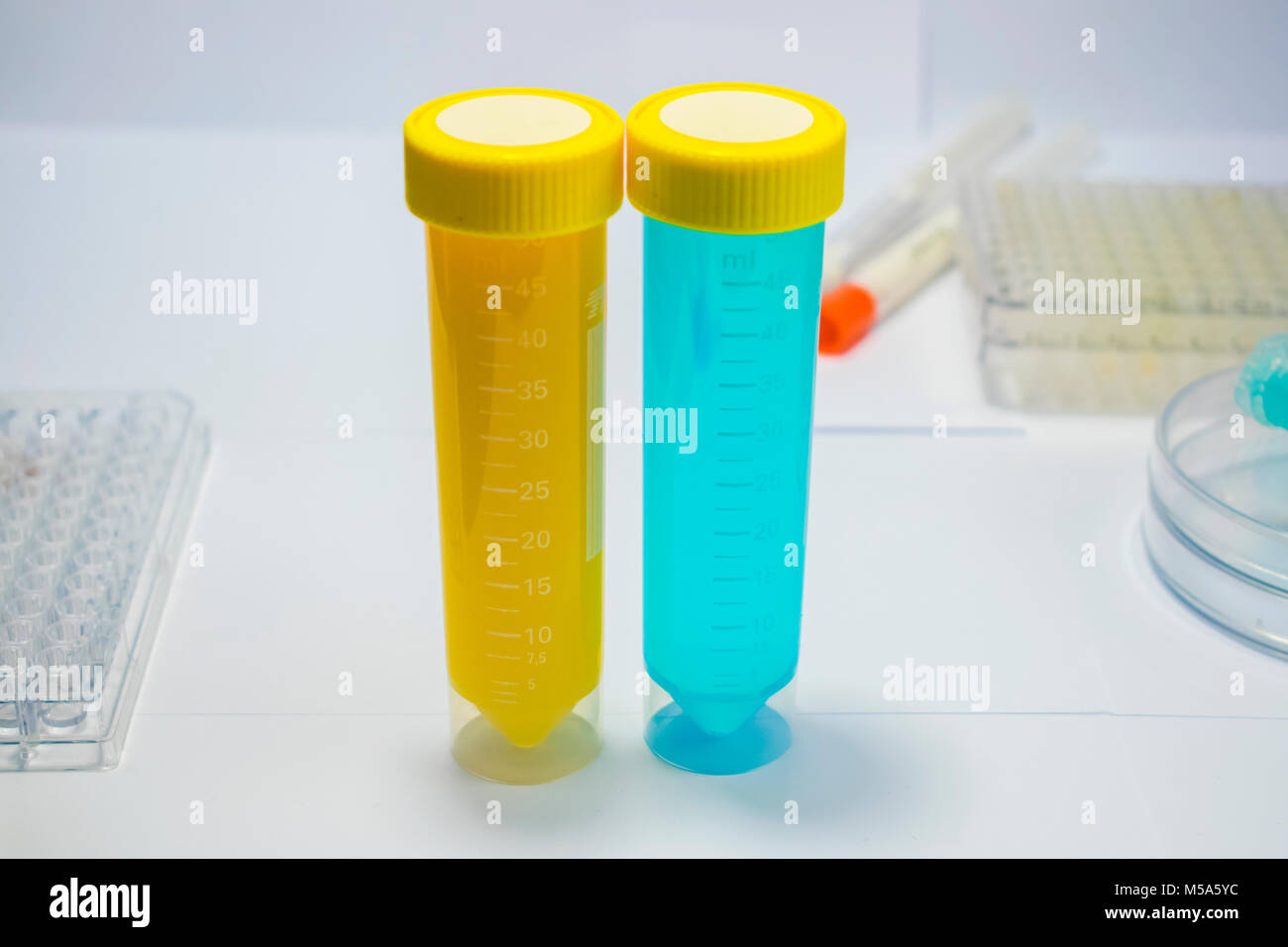 colorful laboratory test tubes, biochemistry blood tests, urine test ...