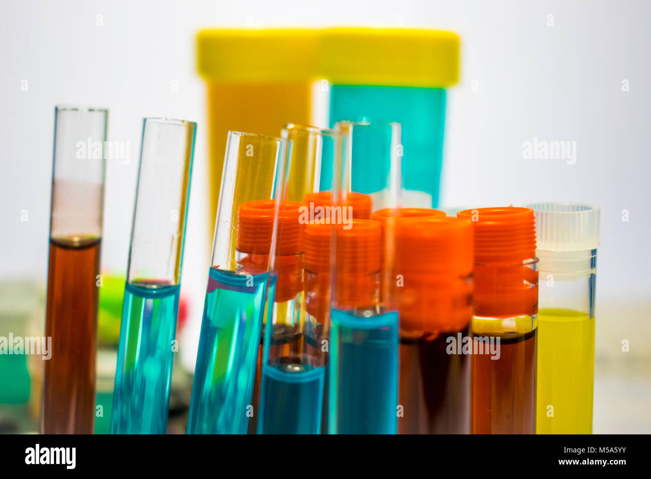 colorful laboratory test tubes, biochemistry blood tests, urine test ...