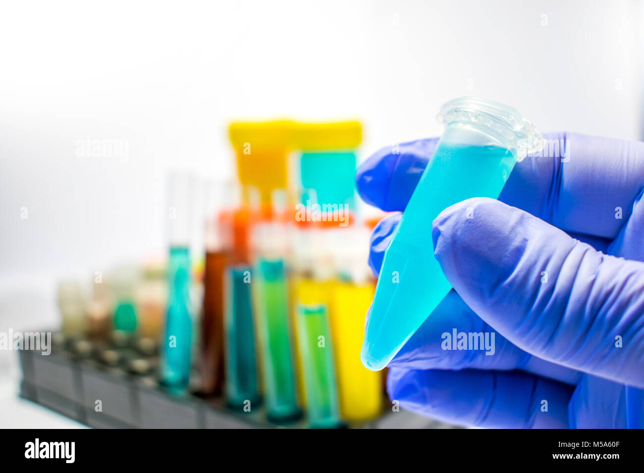 colorful laboratory test tubes, biochemistry blood tests, urine test ...