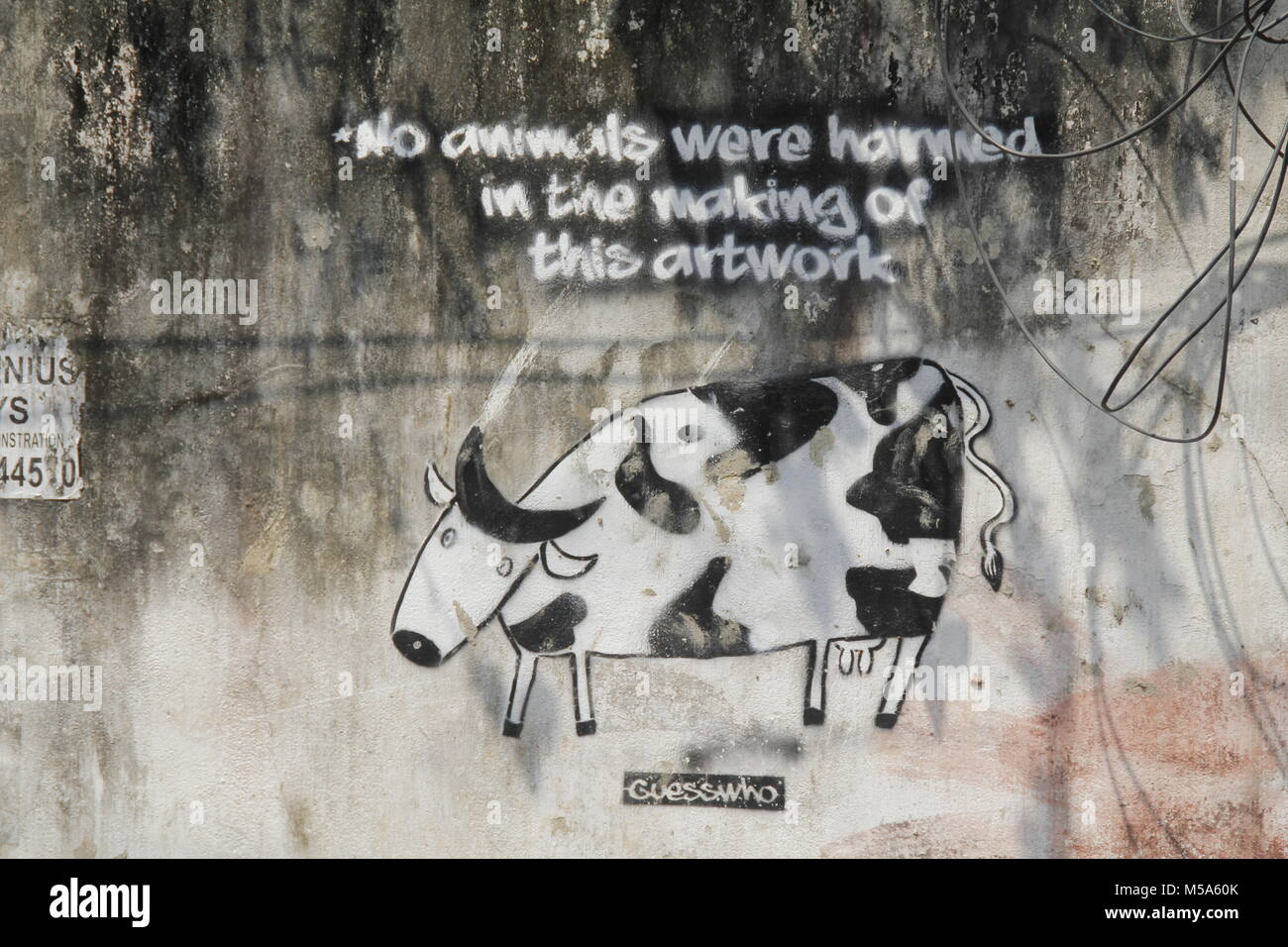 Street art fort Kochi Stock Photo - Alamy Street art fort Kochi Stock Photo - Alamy