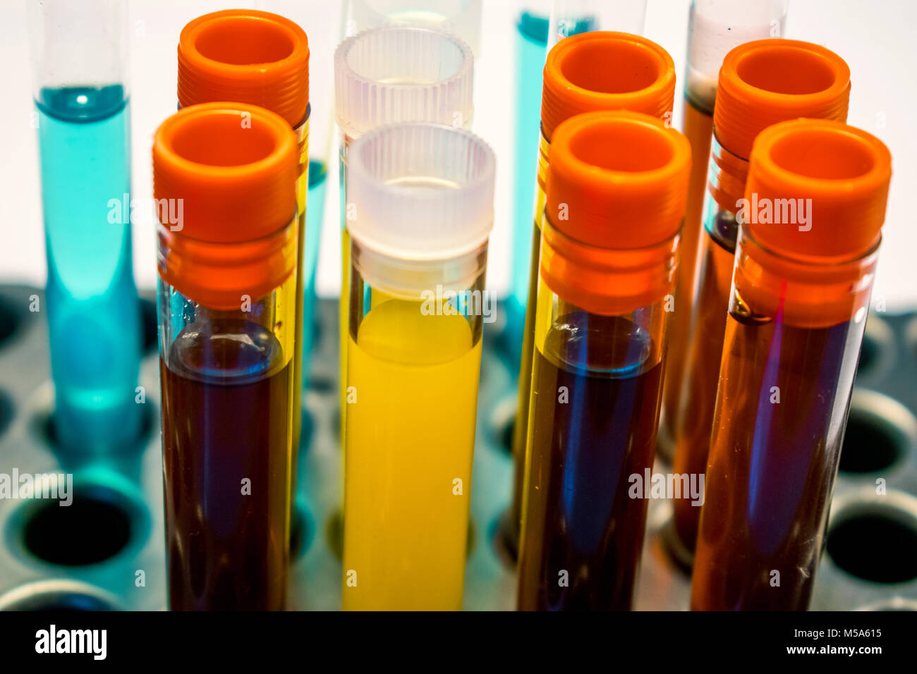 colorful laboratory test tubes, biochemistry blood tests, urine test ...