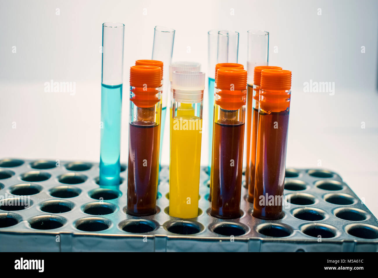 colorful laboratory test tubes, biochemistry blood tests, urine test ...