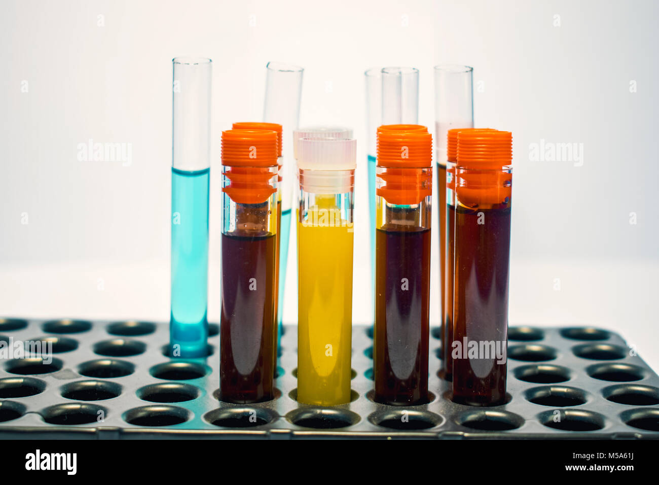 colorful laboratory test tubes, biochemistry blood tests, urine test ...