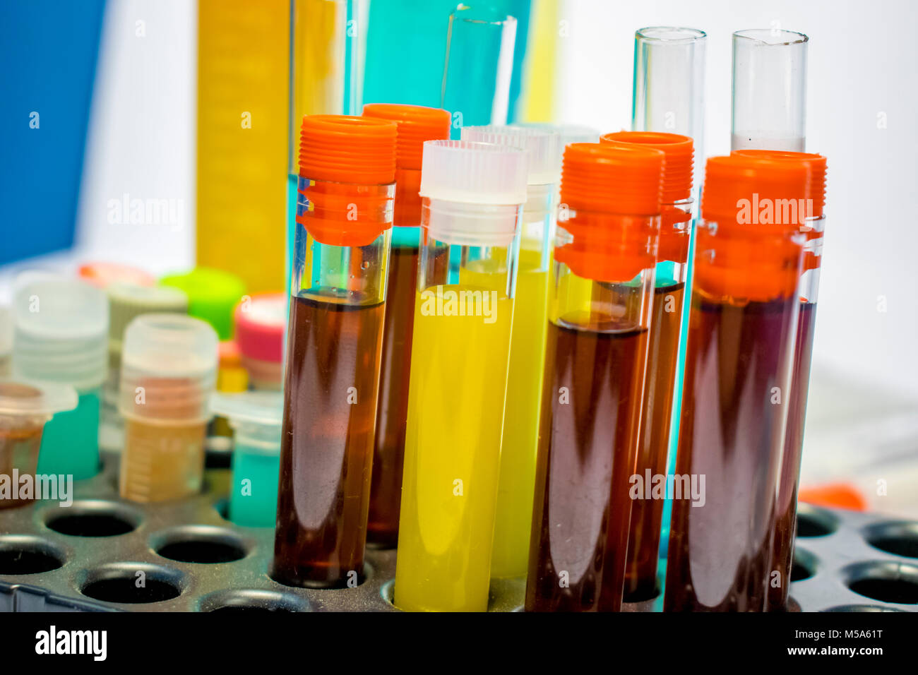 colorful laboratory test tubes, biochemistry blood tests, urine test ...