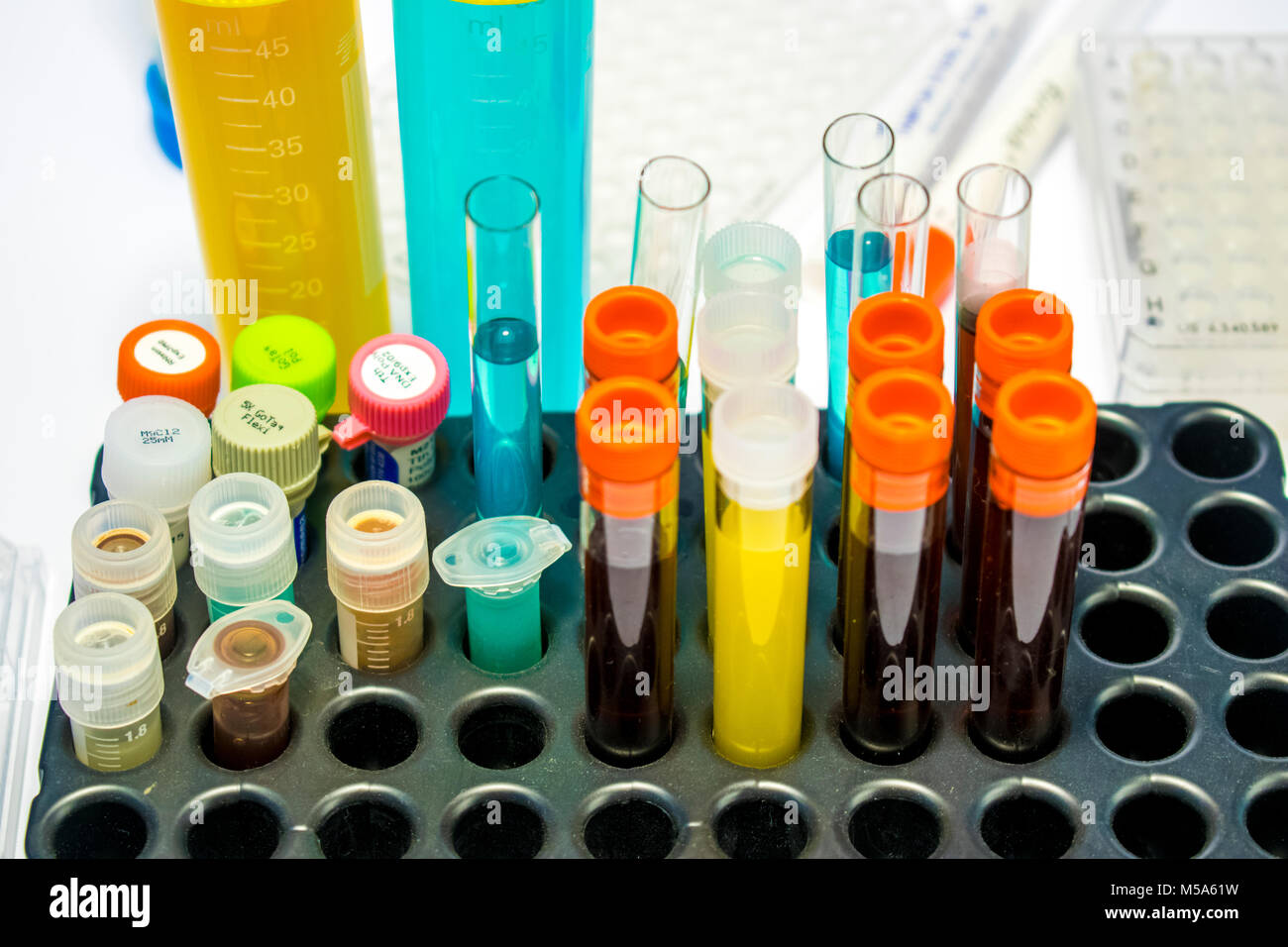 colorful laboratory test tubes, biochemistry blood tests, urine test ...
