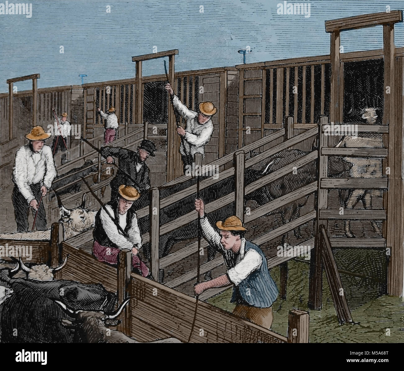 Wagon Train 19th Century Stock Photos & Wagon Train 19th Century Stock ...