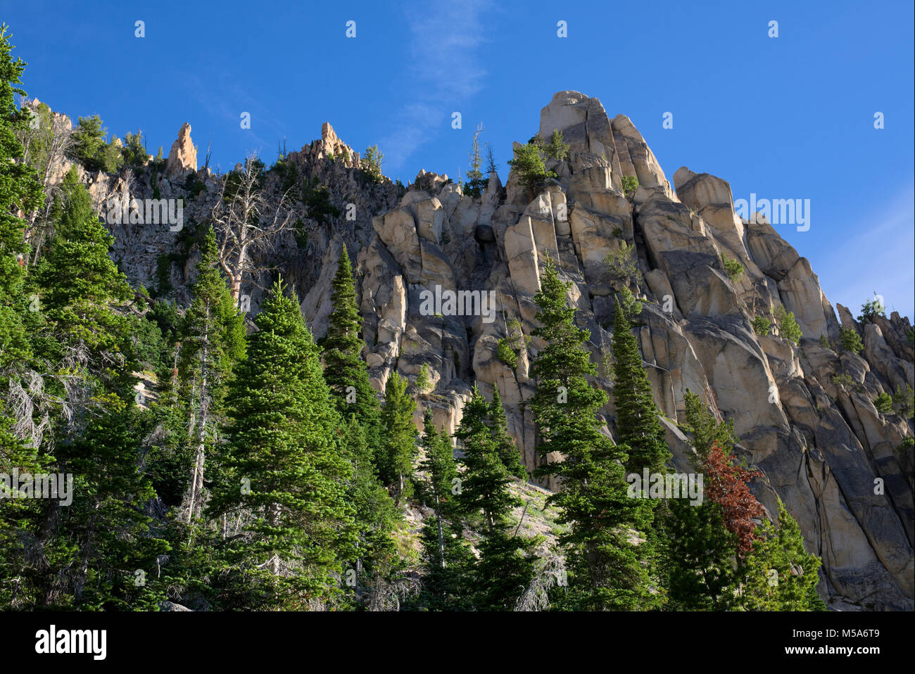 Serrated Stock Photos & Serrated Stock Images - Alamy