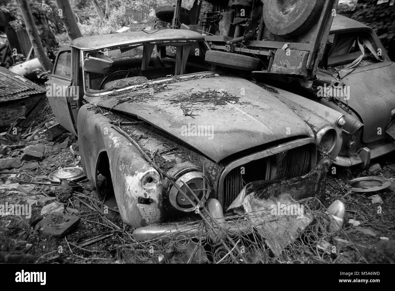 UK, England, Cheshire, Bollington, old rotting 1960s Rover 3 Litre car ...