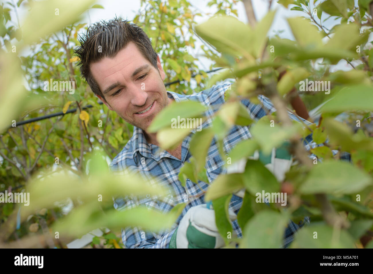 man in the garden Stock Photo - Alamy