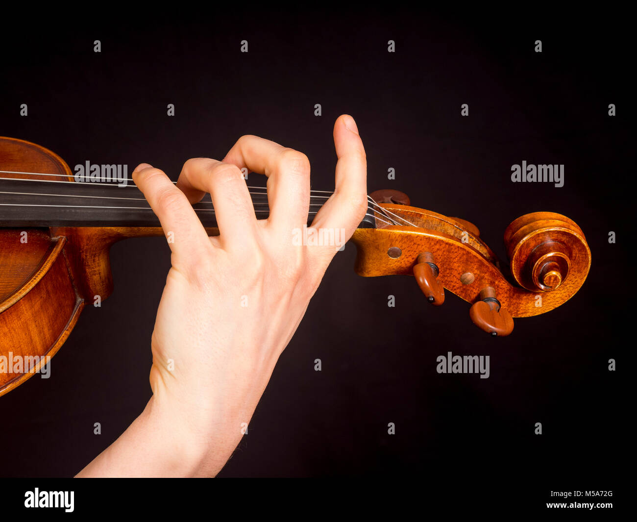 Parts of a alto violin hi-res stock photography and images - Alamy