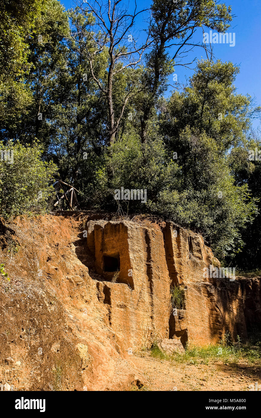 Italy, Tuscany, Baratti Archeologica Etruscan park, archeology ...