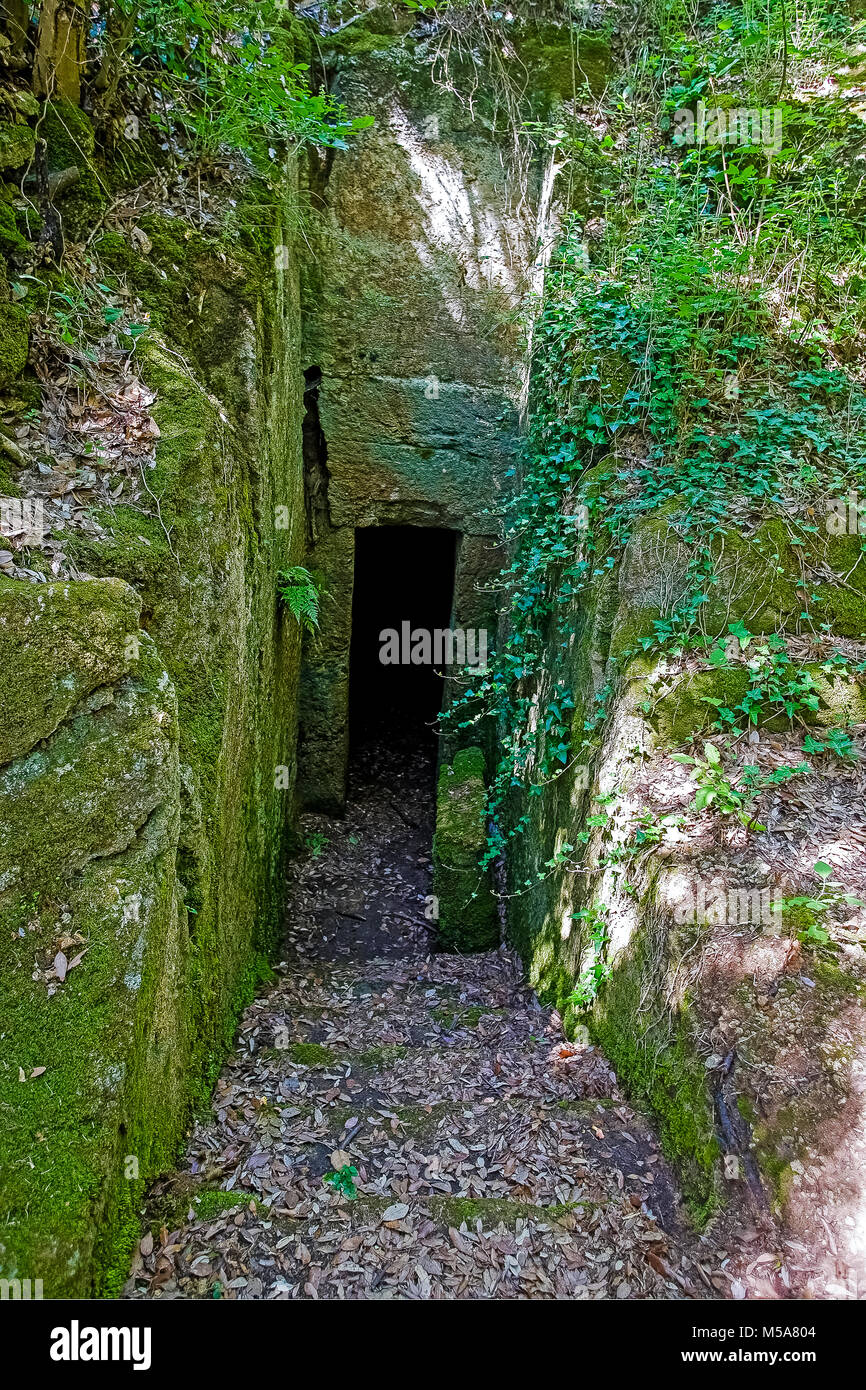 Italy, Tuscany, Baratti Archeologica Etruscan park, archeology, tomb ...