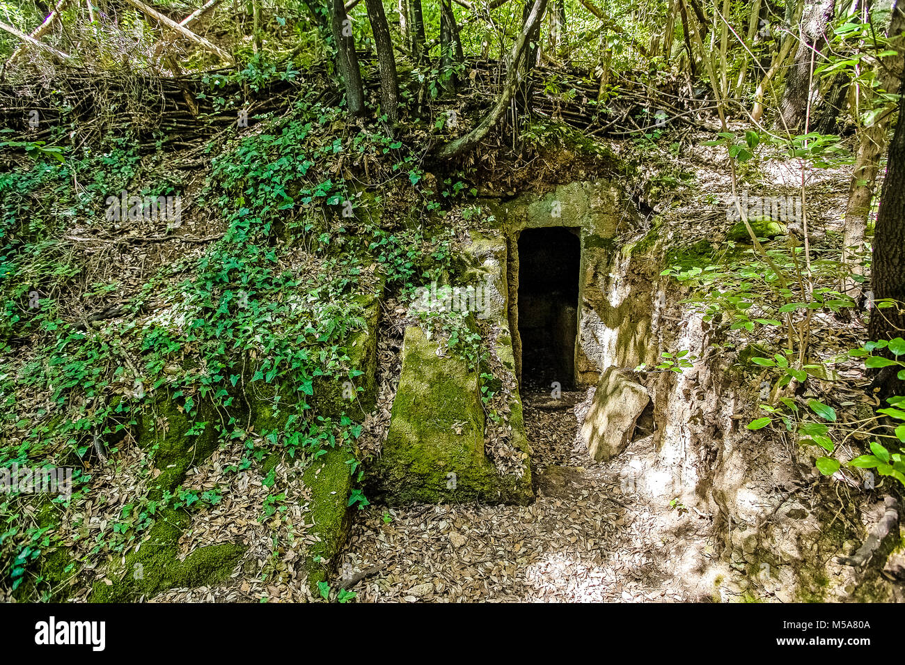 Italy, Tuscany, Baratti Archeologica Etruscan park, archeology, tomb ...