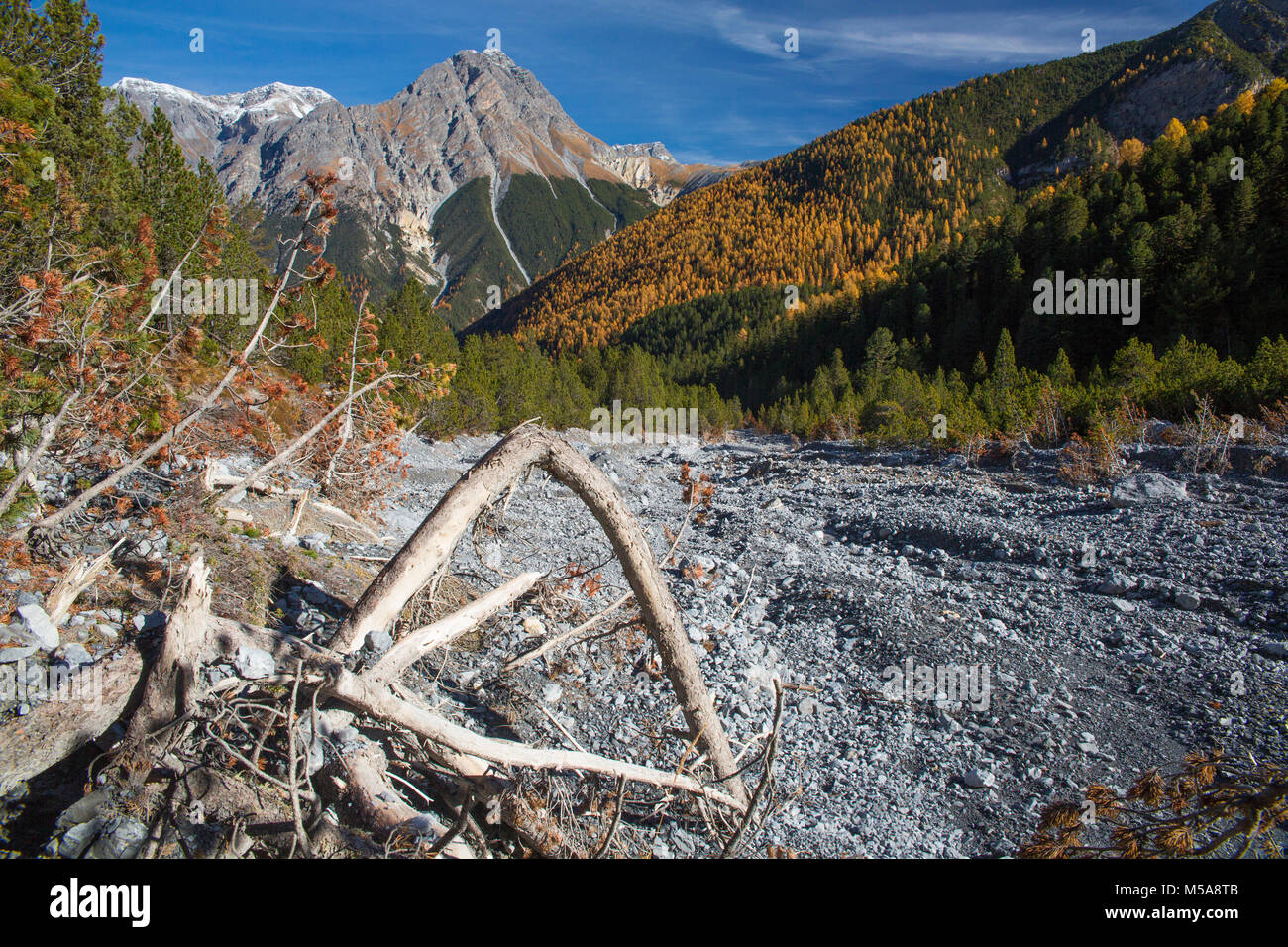 Minger hi-res stock photography and images - Alamy