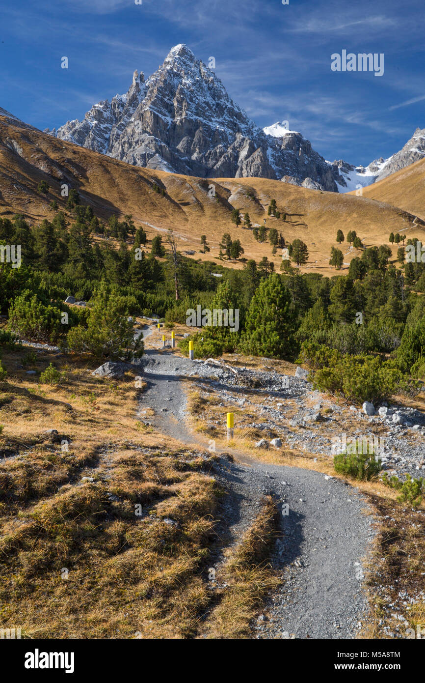 Nationalpark im Val Minger Stock Photo - Alamy