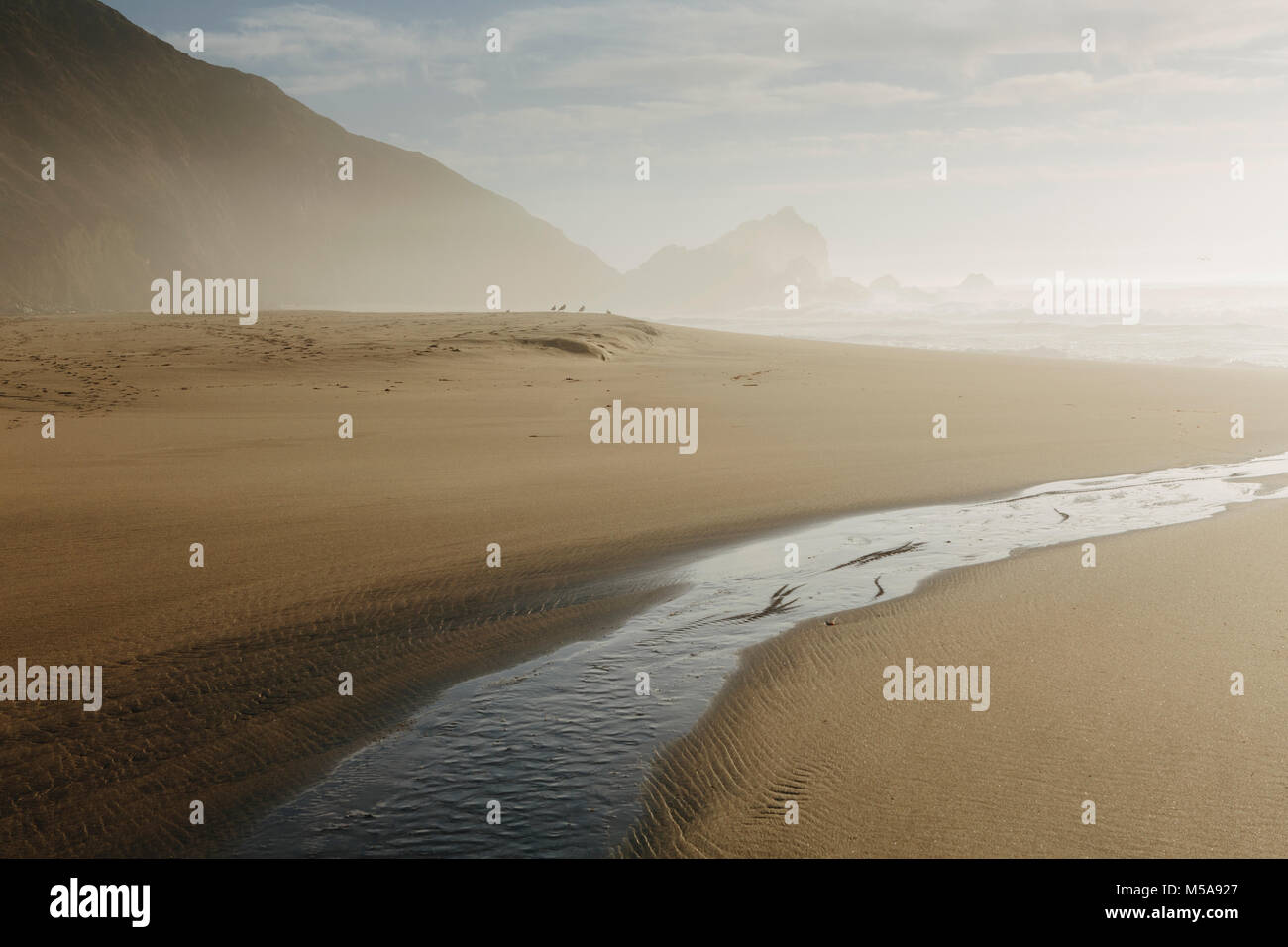 Small inlet on sandy beach near ocean at dusk, rocks and cliff in the ...