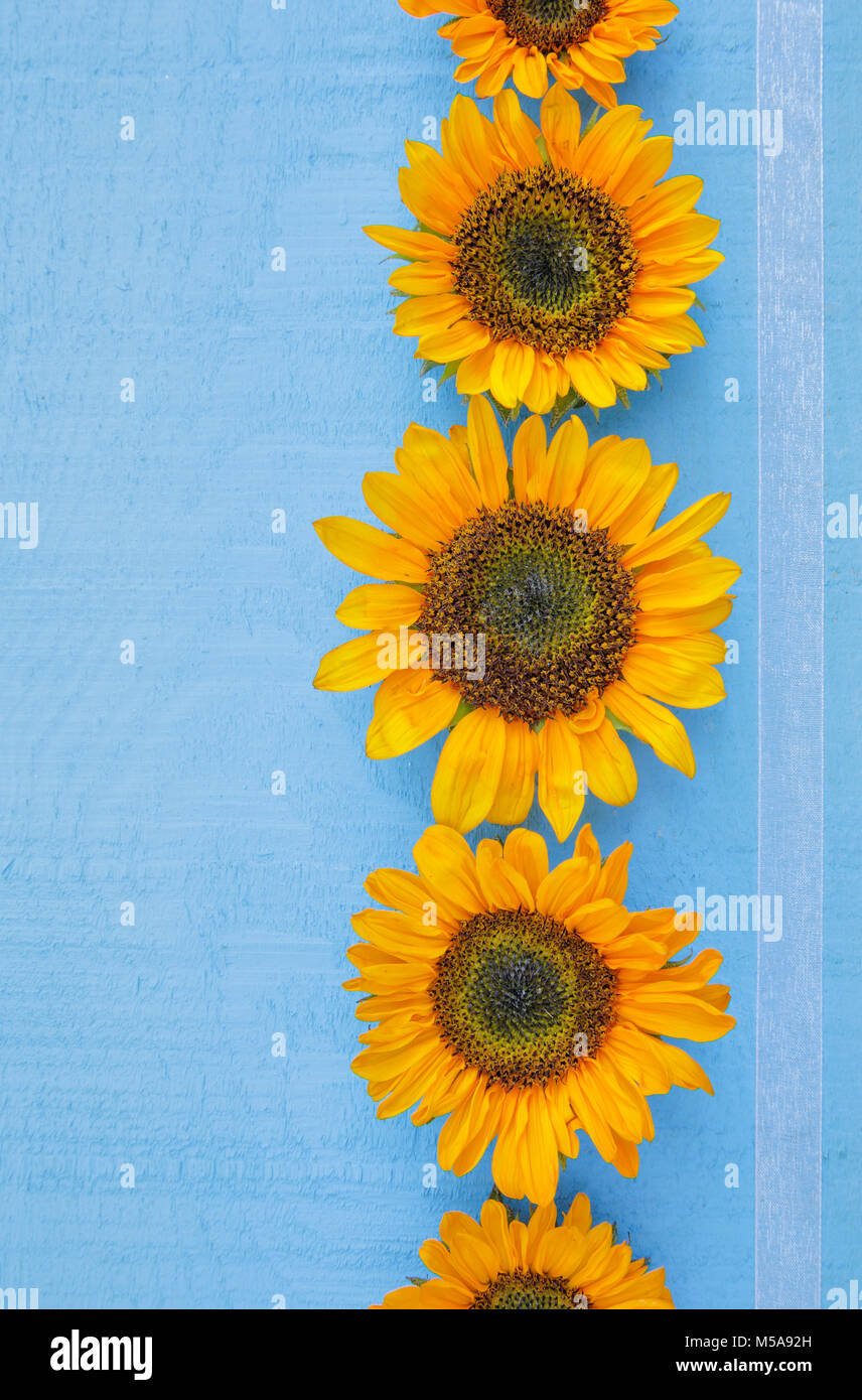 Yellow course tape hi-res stock photography and images - Alamy