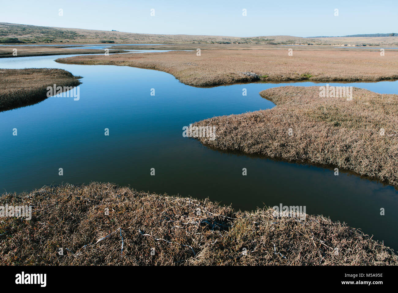 The open spaces of marshland and water channels. Flat calm water Stock ...