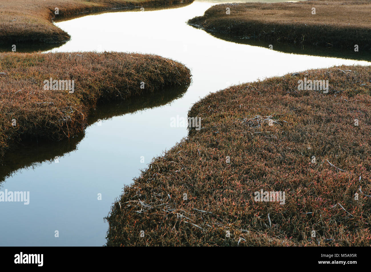 The open spaces of marshland and water channels. Flat calm water Stock ...