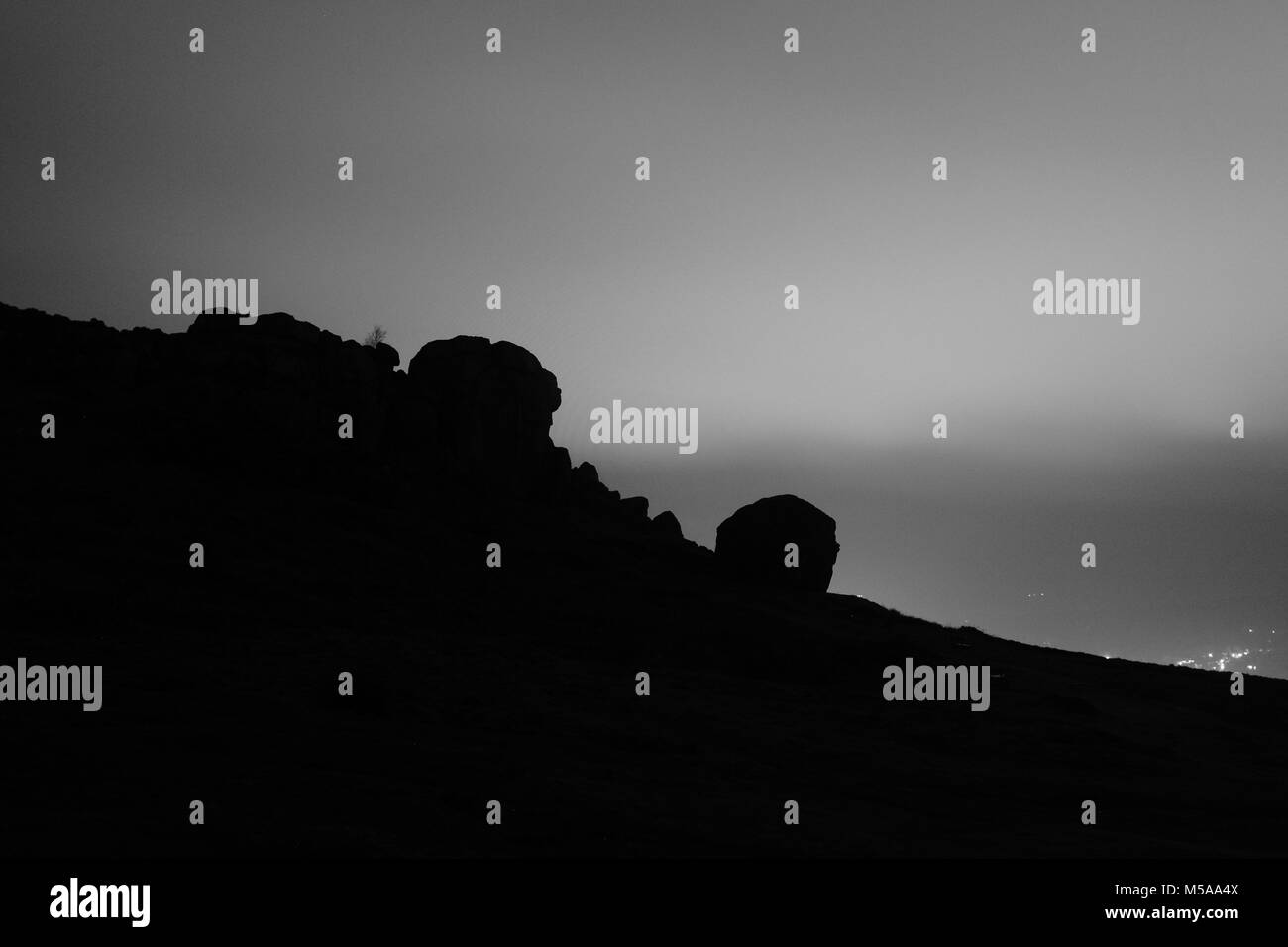 Night cow Black and White Stock Photos & Images - Alamy