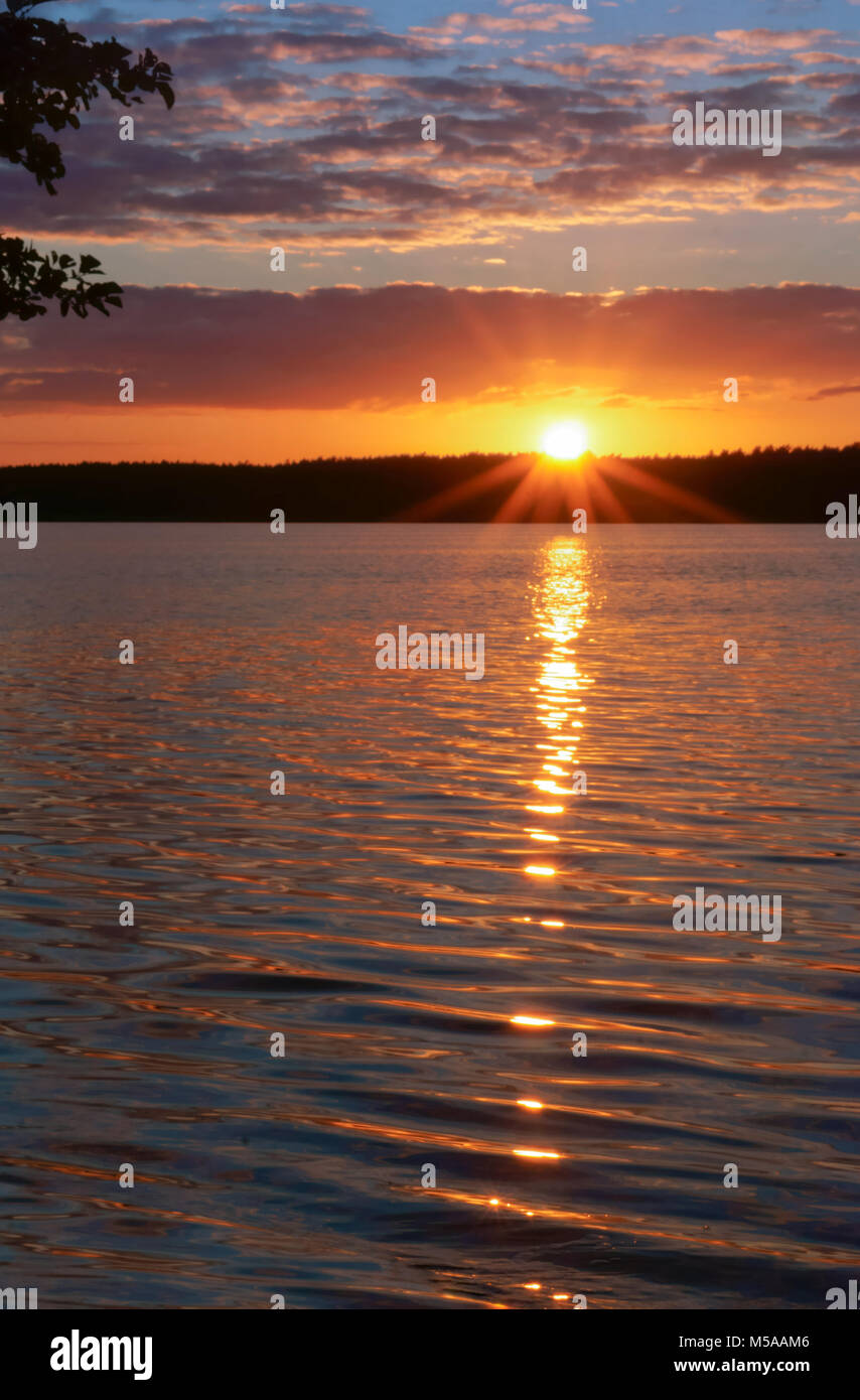 sunset reflection in a small pond, dawn reflection in a swamp in the ...