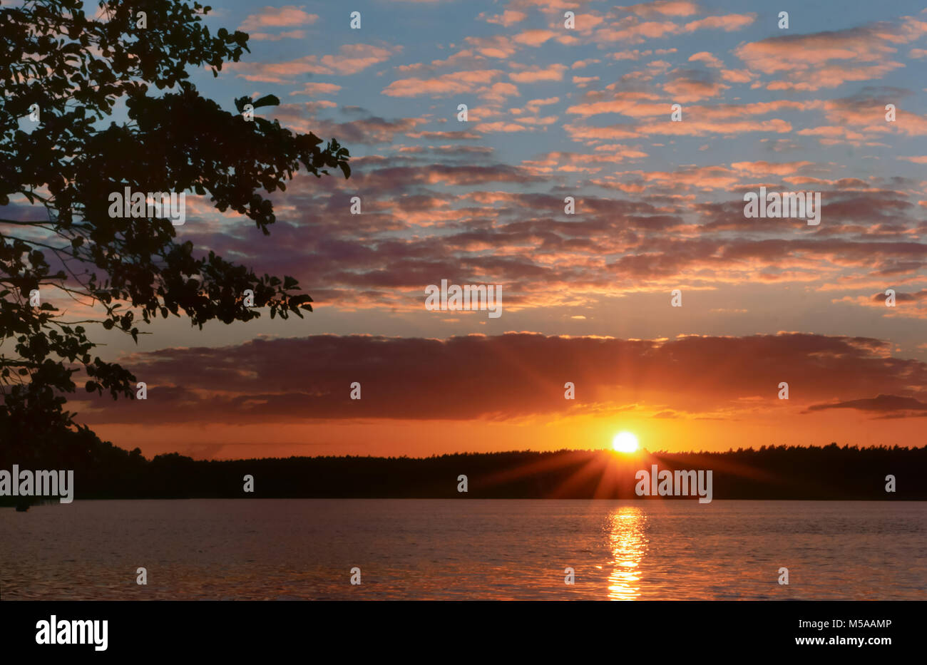sunset reflection in a small pond, dawn reflection in a swamp in the ...