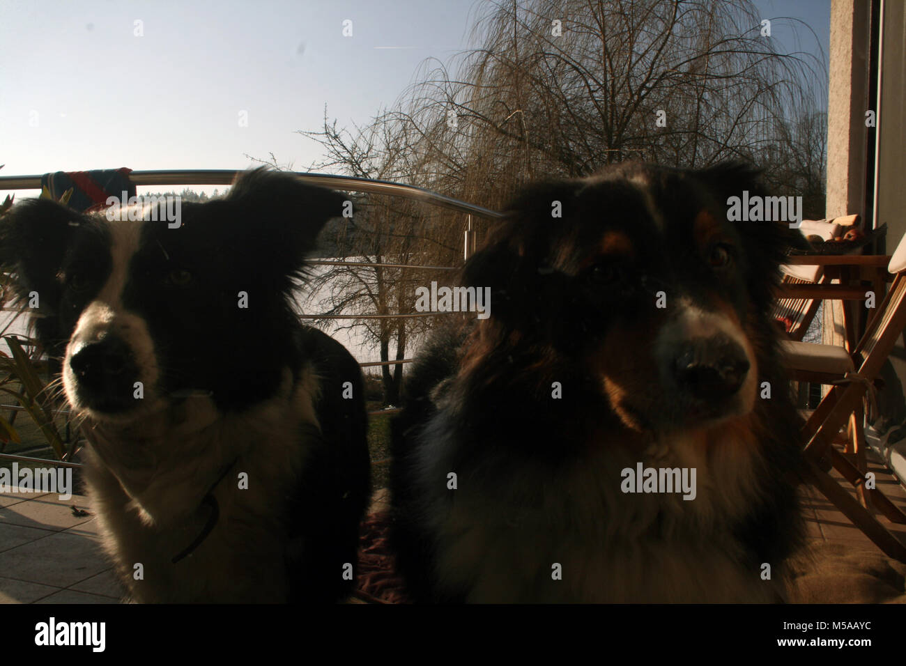 brother from another mother Stock Photo - Alamy