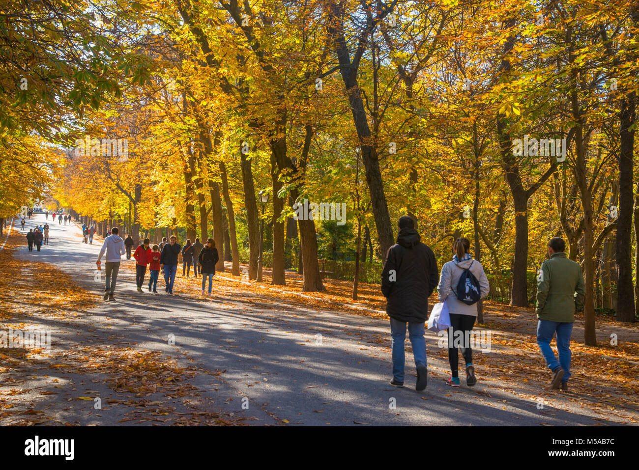 The Retiro park in Autumn. Madrid, Spain Stock Photo - Alamy