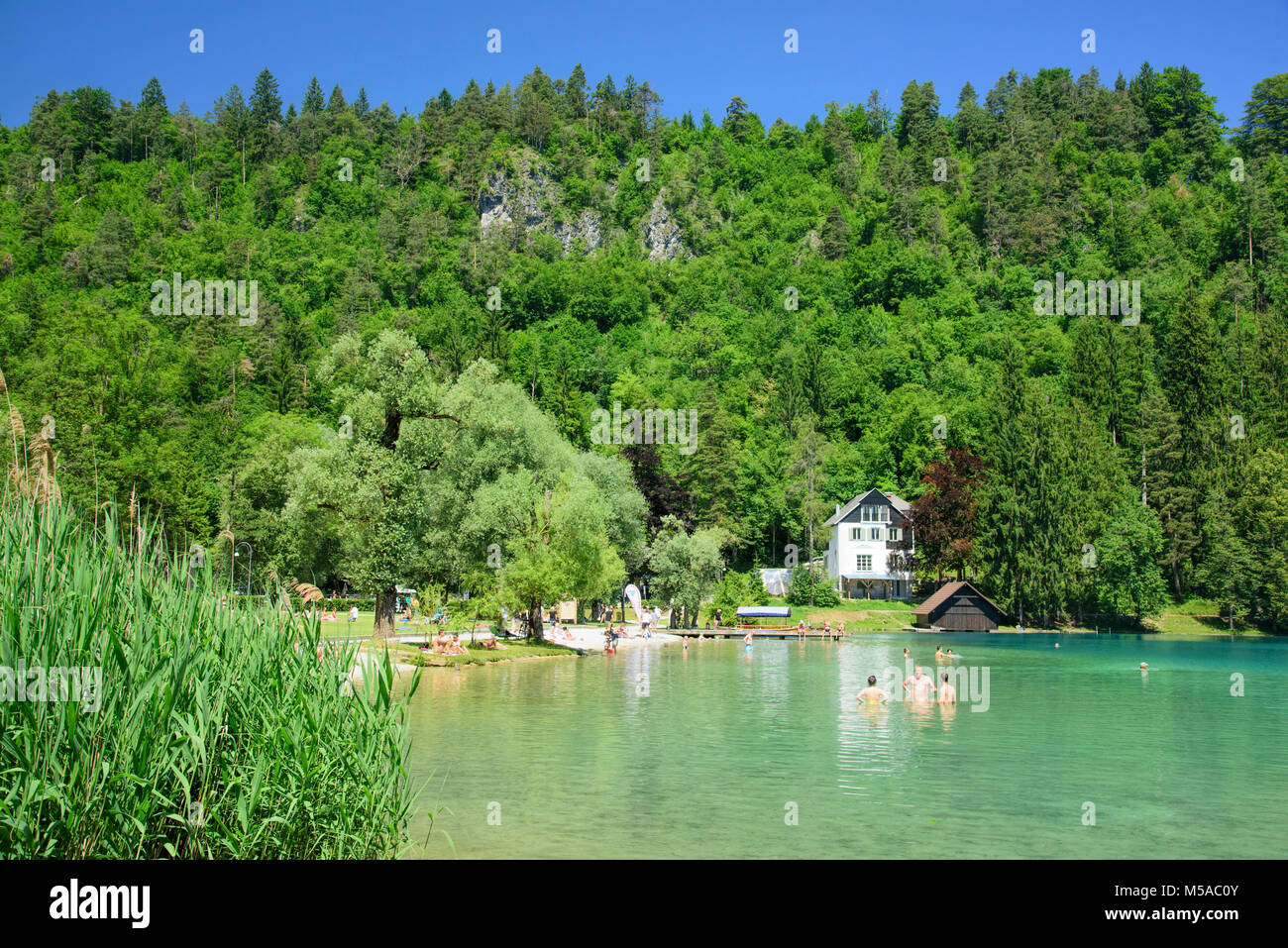 Slovenia lake bled swimming hi-res stock photography and images - Alamy