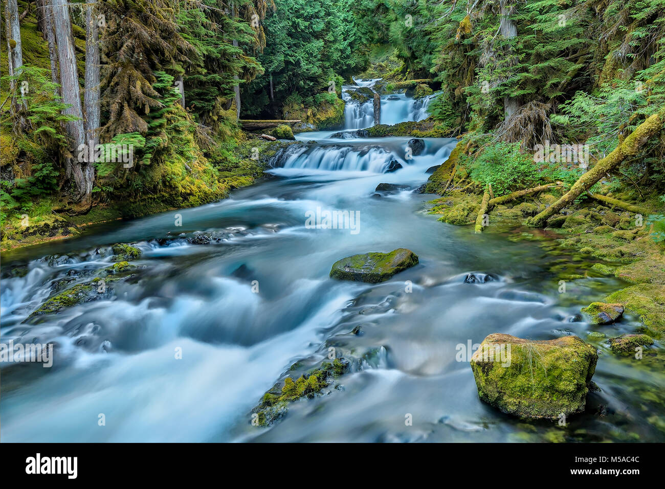 USA McKenzie River Flowing Through Cascades Mountains Central Oregon ...