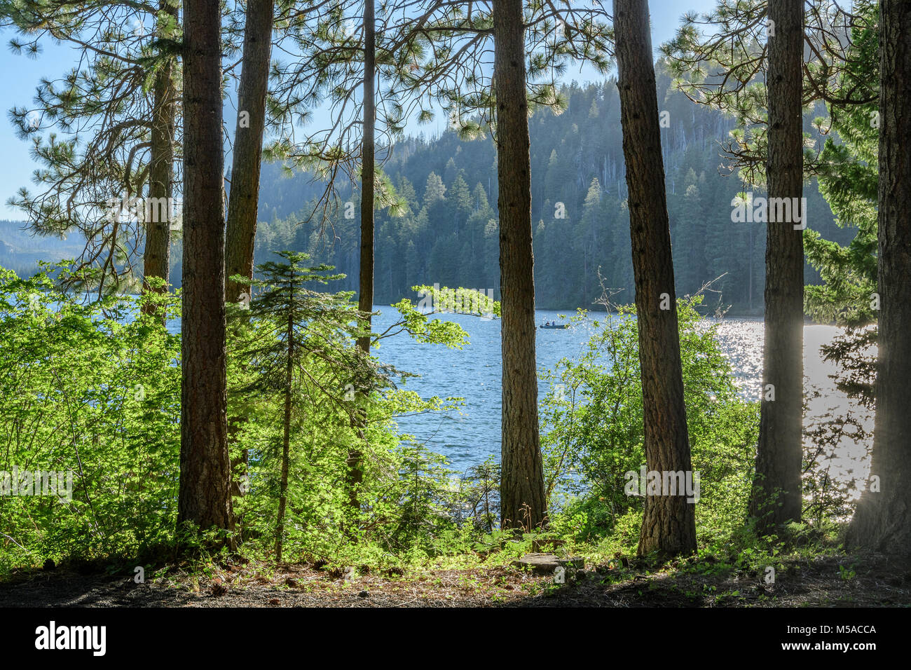 USA, North America, Pacific Northwest, Cascades, Oregon, Suttle Lake ...