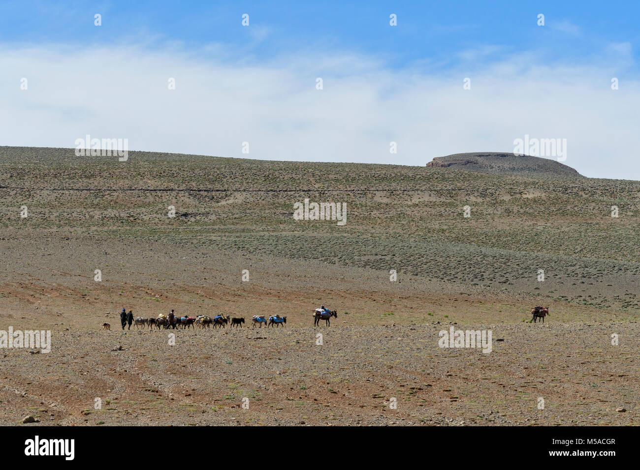 Moroccan caravan hi-res stock photography and images - Alamy