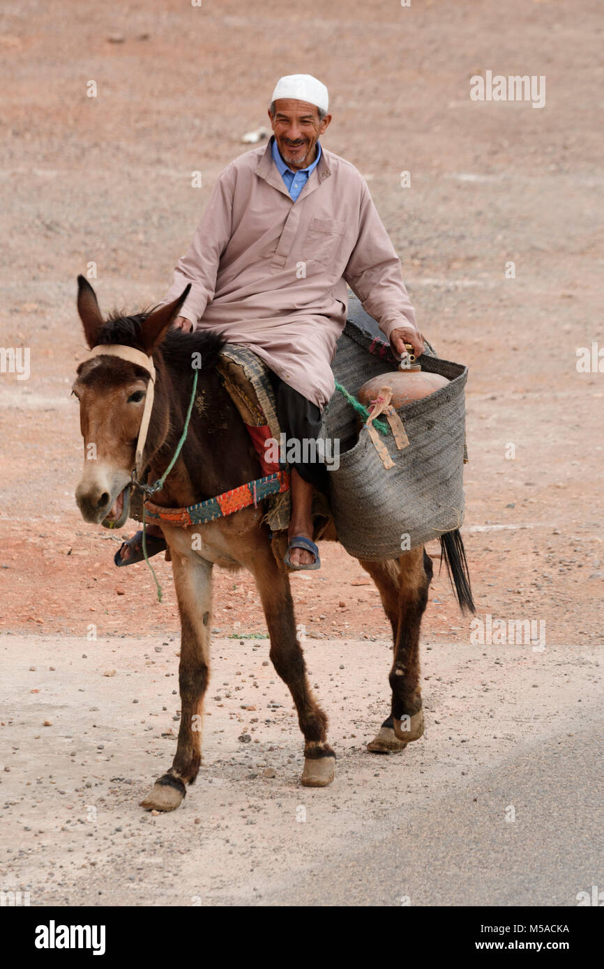 Morocco, Moroccan, man on donkey, North Africa, Africa, African Stock ...