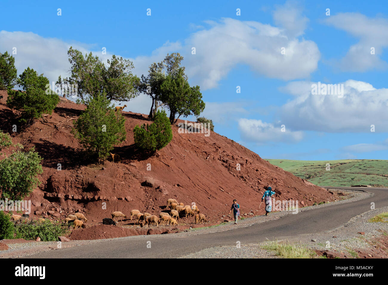 Morocco, Moroccan, sheep herders in the Atlas mountains, North Africa ...