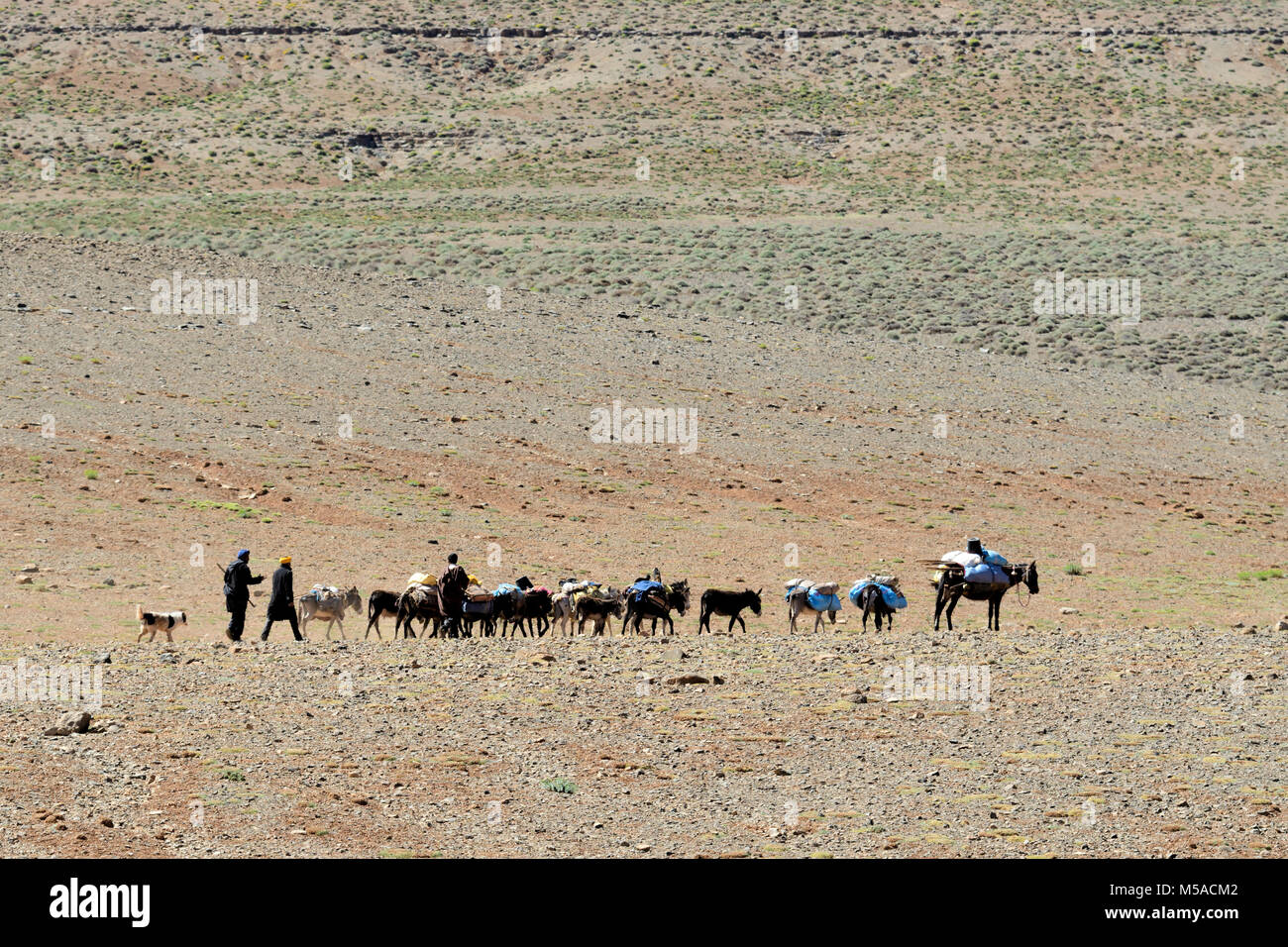 Morocco, Moroccan, Nomads, North Africa, Africa, African Stock Photo ...