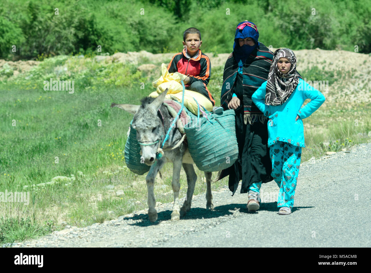 North Africa, Africa, African, Morocco, Moroccan, Berber family, North ...