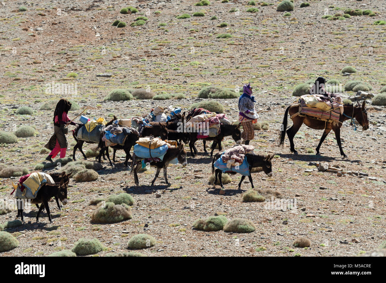 Morocco, Moroccan, Caravan, North Africa, Africa, African Stock Photo ...