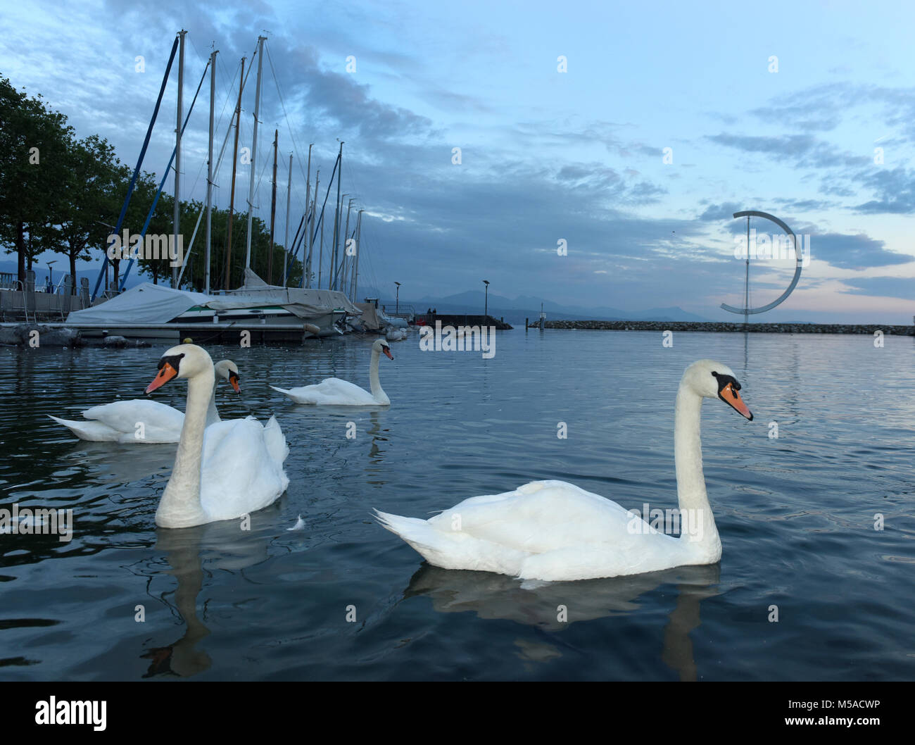 Embankment on Lake Geneva in Lausanne with swans and yacht at evening ...