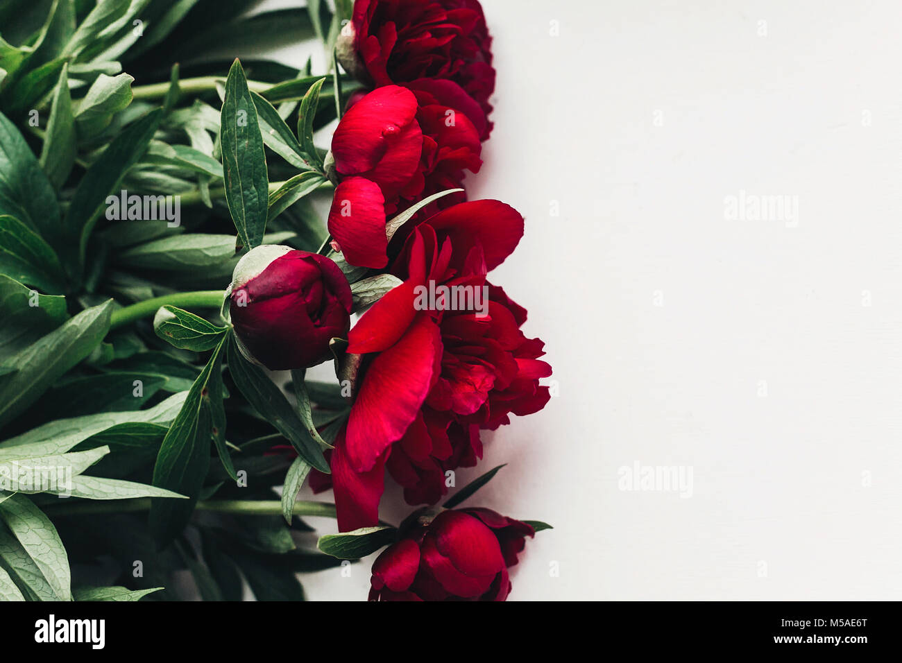 floral greeting card concept, hello spring stylish image flat lay ...