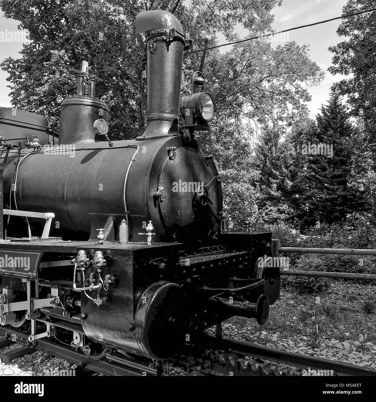 An old steam engine, last remain of the former touristic track-railway ...