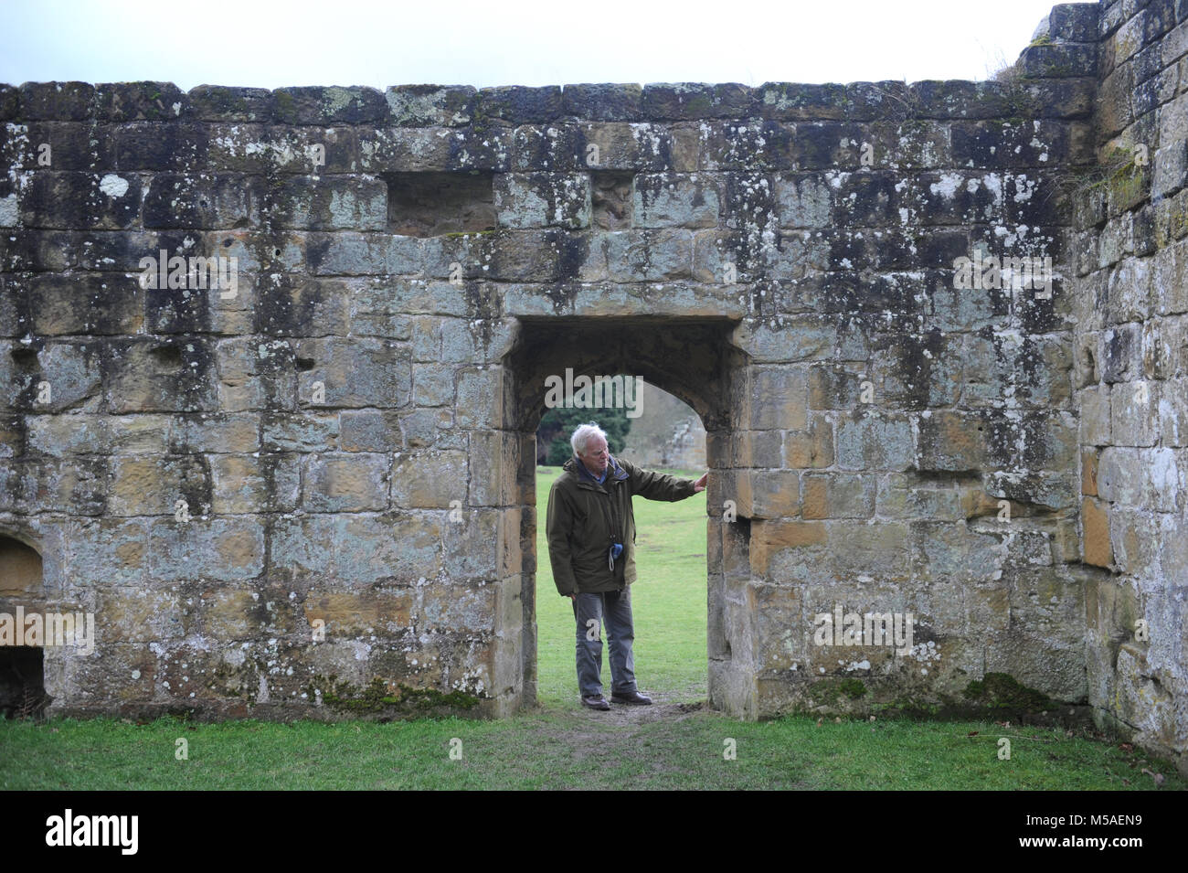 Mount Grace Priory in snowdrop season Stock Photo - Alamy