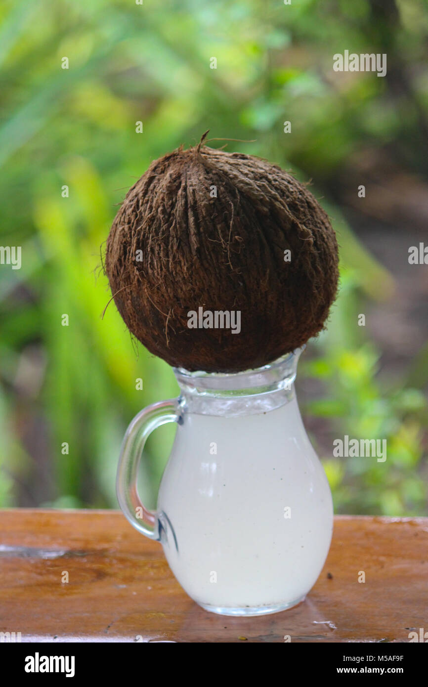 Pure coconut water drips from fresh coconut into clear jug Stock Photo ...