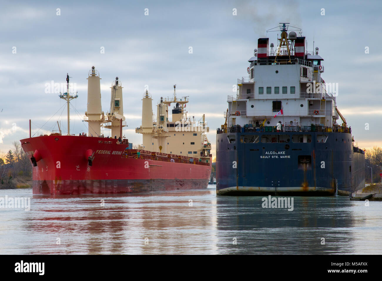 Algolake hi-res stock photography and images - Alamy