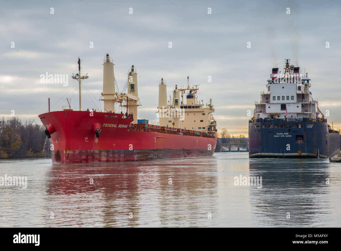 The Federal Bering bulk carrier passing the Algolake while exiting Lock ...